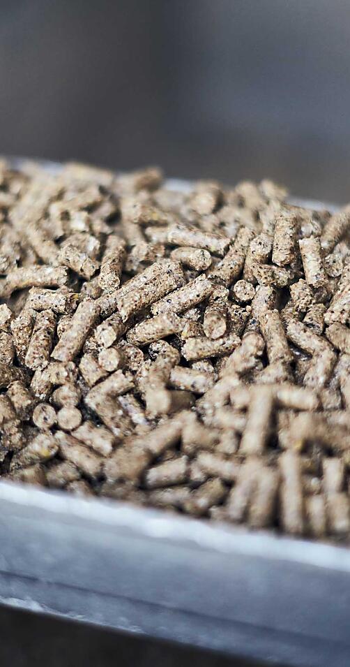 Beste Futtermittel aus Südtirol + Beratung | Rieper Mühle Südtirol