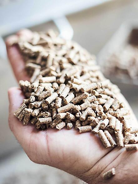 Bestes Futter für die Landwirtschaft | Rieper Mühle Südtirol