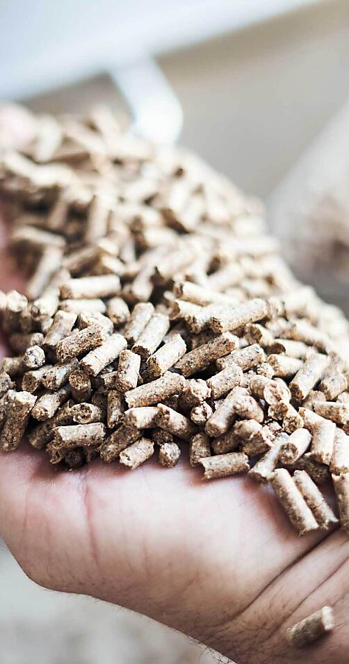 Bestes Futter für die Landwirtschaft | Rieper Mühle Südtirol